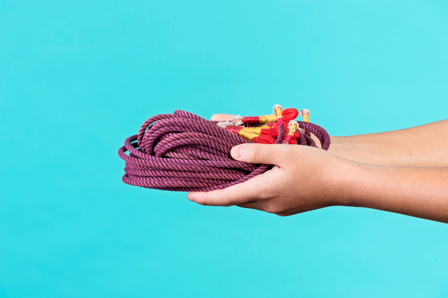 Why-Go-Round - Joyce Kwon